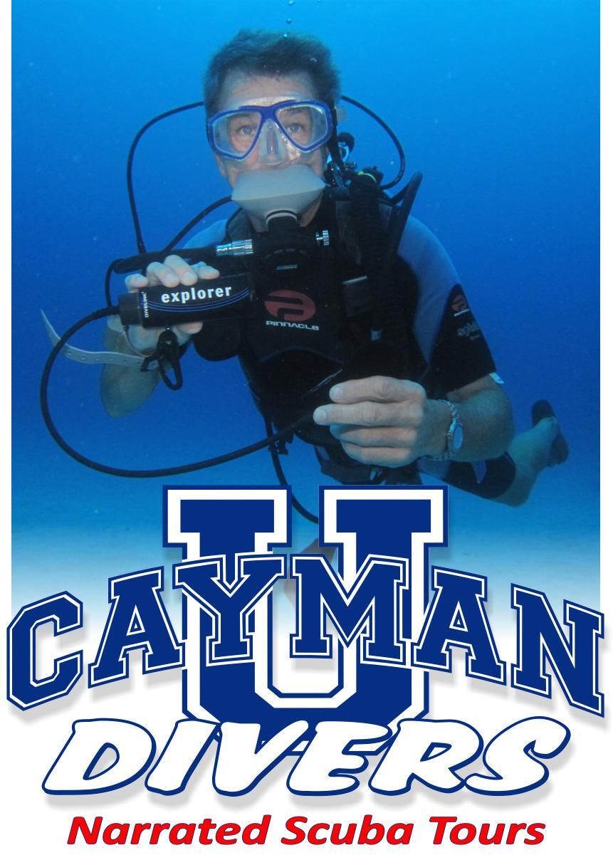 Cayman Islands Tourism Association - Cayman University Divers Business ...