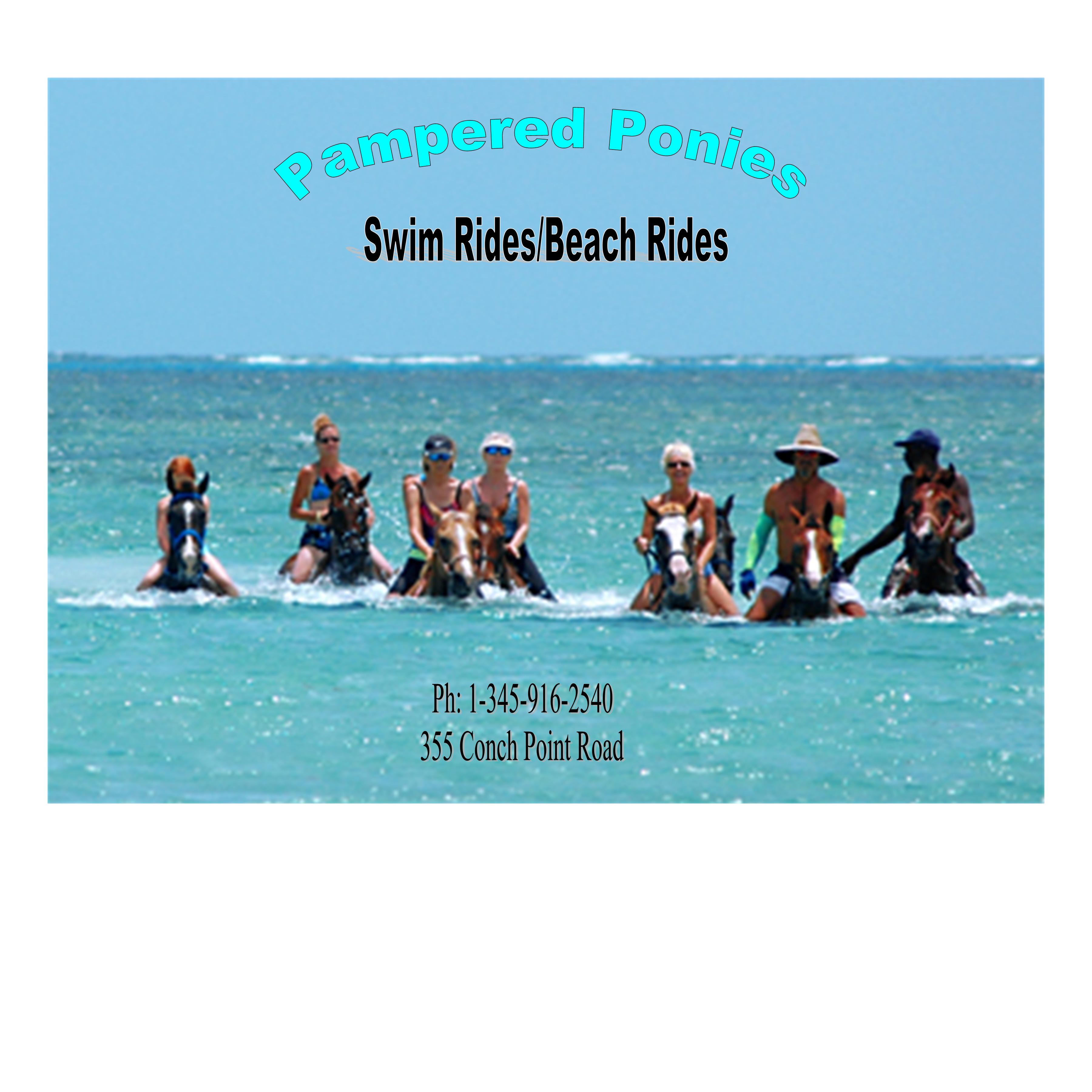 Cayman Islands Tourism Association - Pampered Ponies Business Details ...